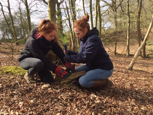 Forest School level 1 | Suffolk Wildlife Trust