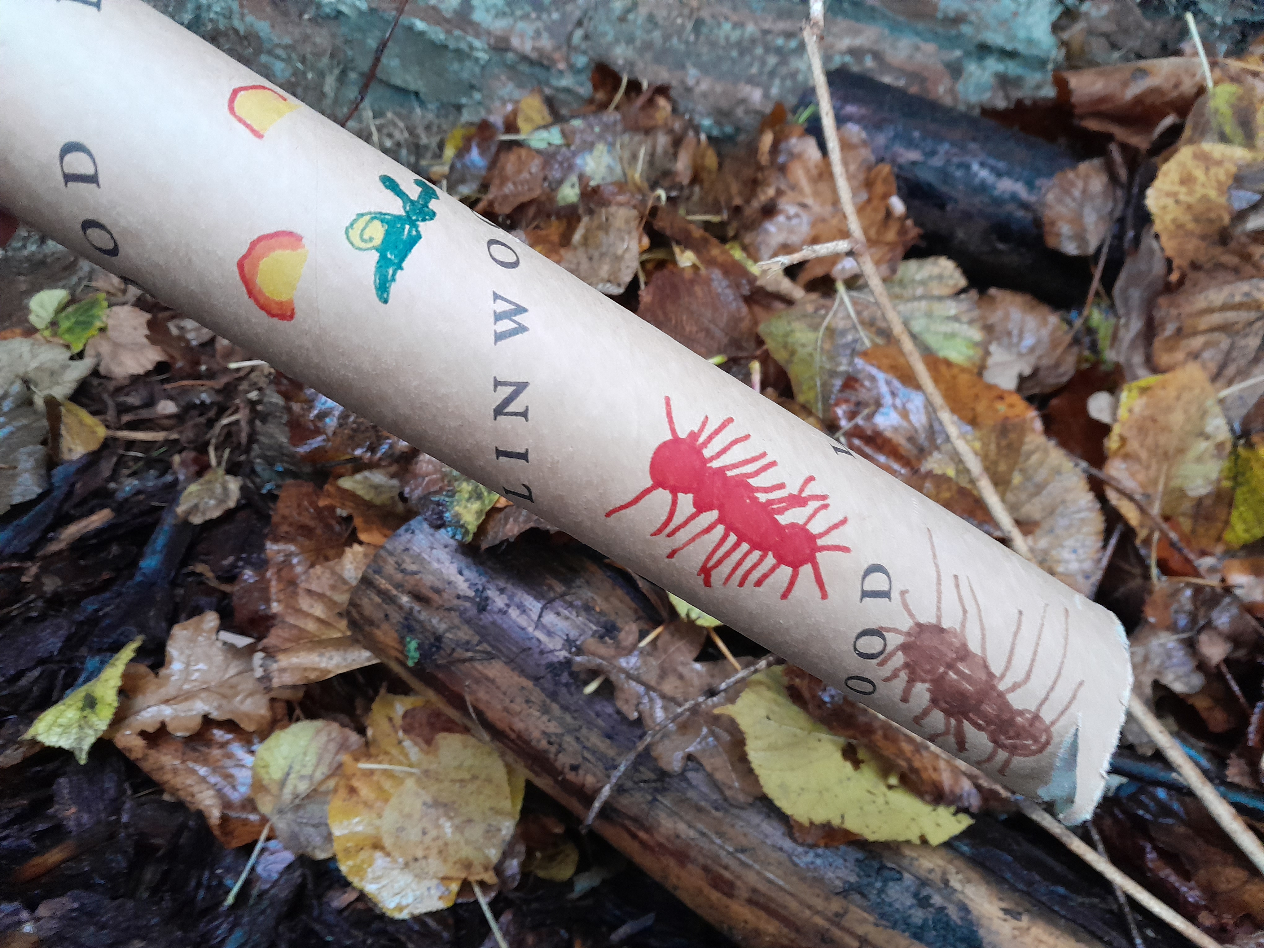 decorating tubes to add to the invertebrate home | Suffolk Wildlife Trust