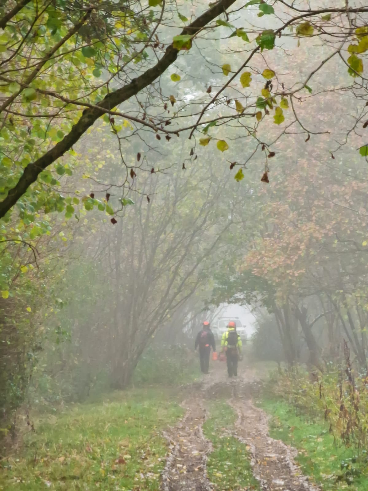Rain and thunder cut our task short the other day – Anneke Emery ...