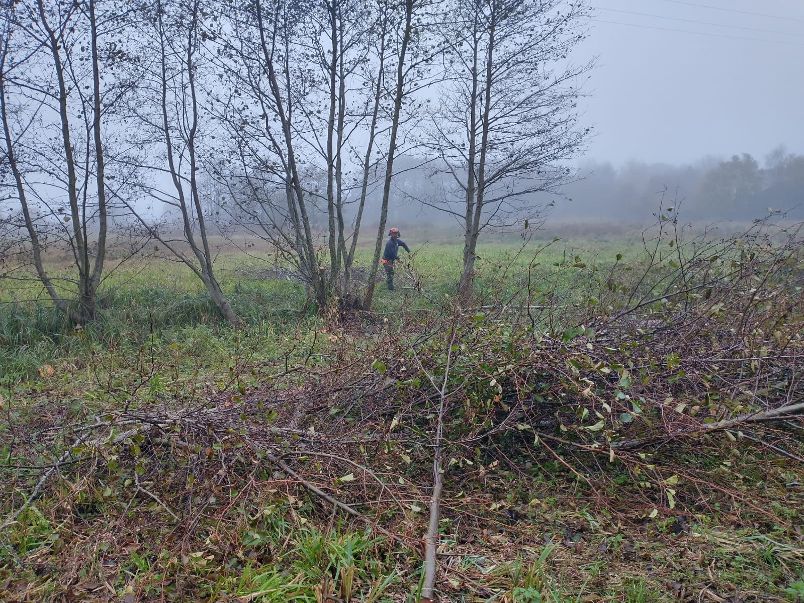 Marsh maintenance – Frances Lear | Suffolk Wildlife Trust