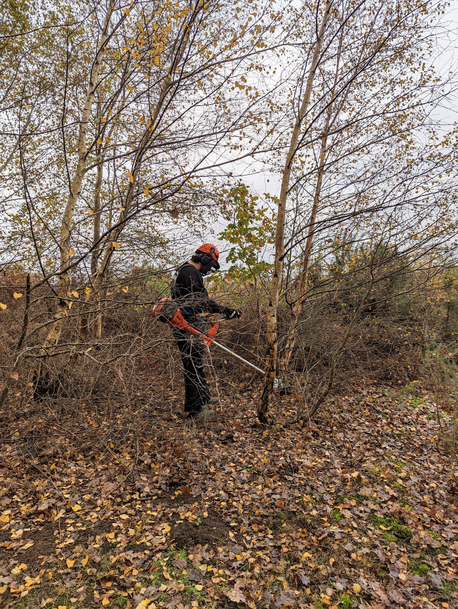 Clearing saw use and maintenance – Ella Broom | Suffolk Wildlife Trust