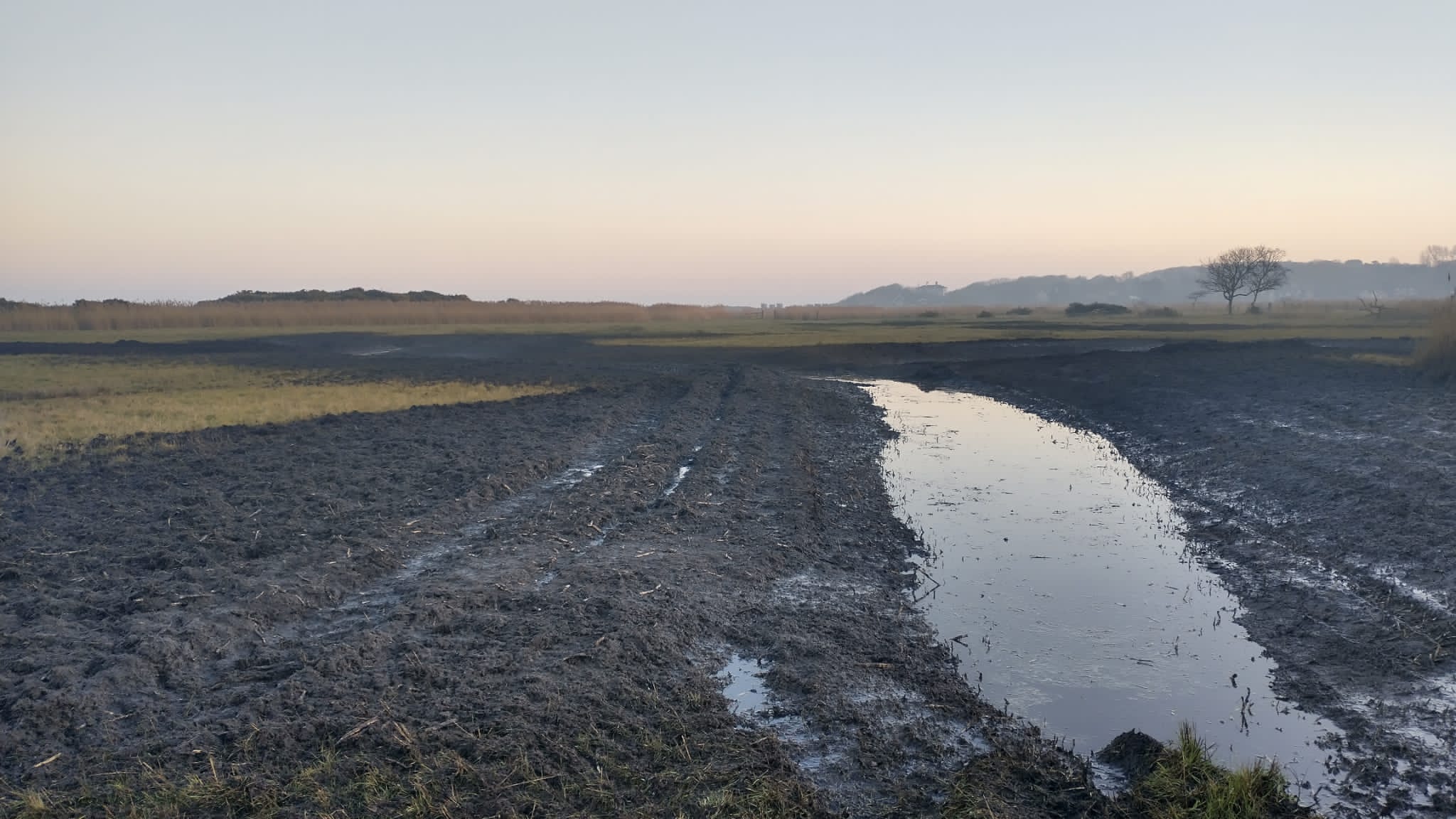 Foot drain at Dingle, Dan Doughty | Suffolk Wildlife Trust