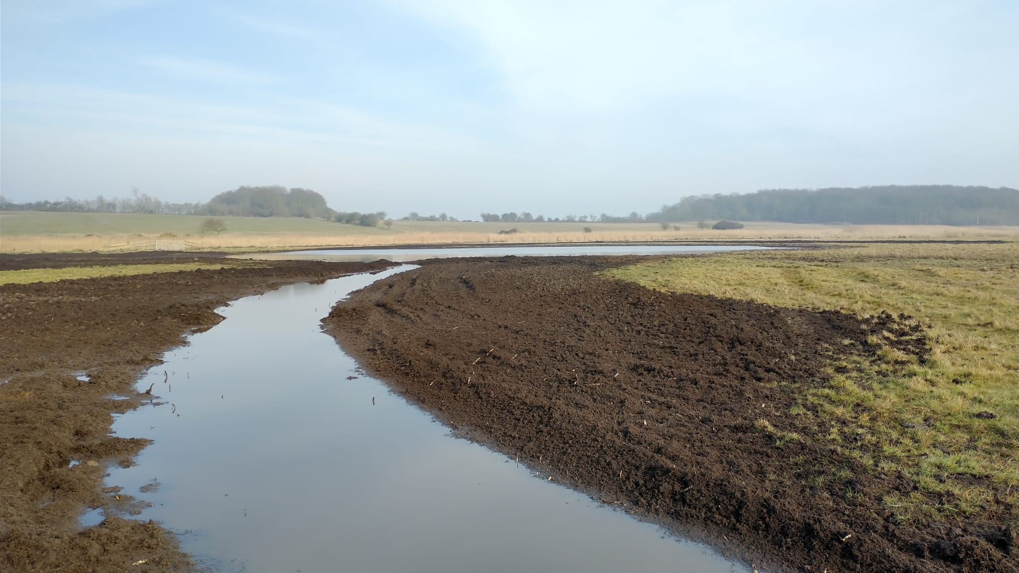Foot drain at Dingle Marshes, Dan Doughty | Suffolk Wildlife Trust