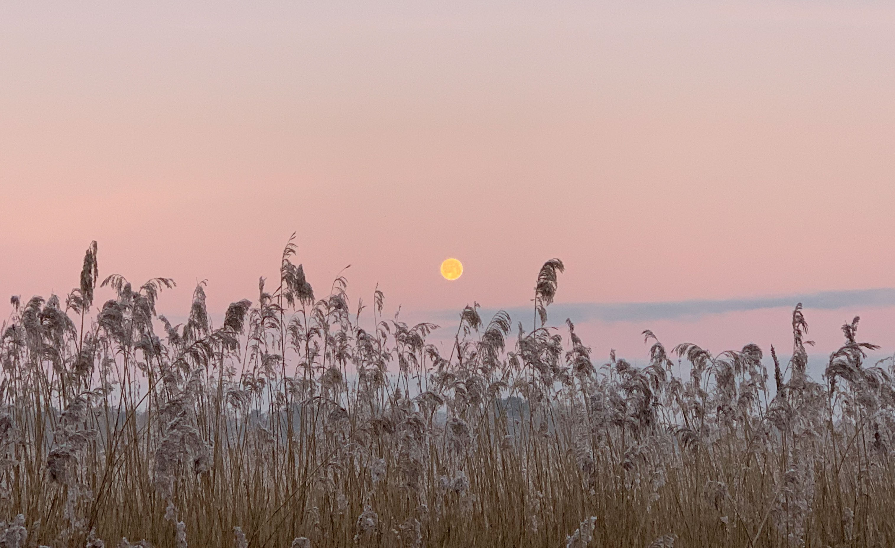 Sunset at Hen Reedbeds | Suffolk Wildlife Trust