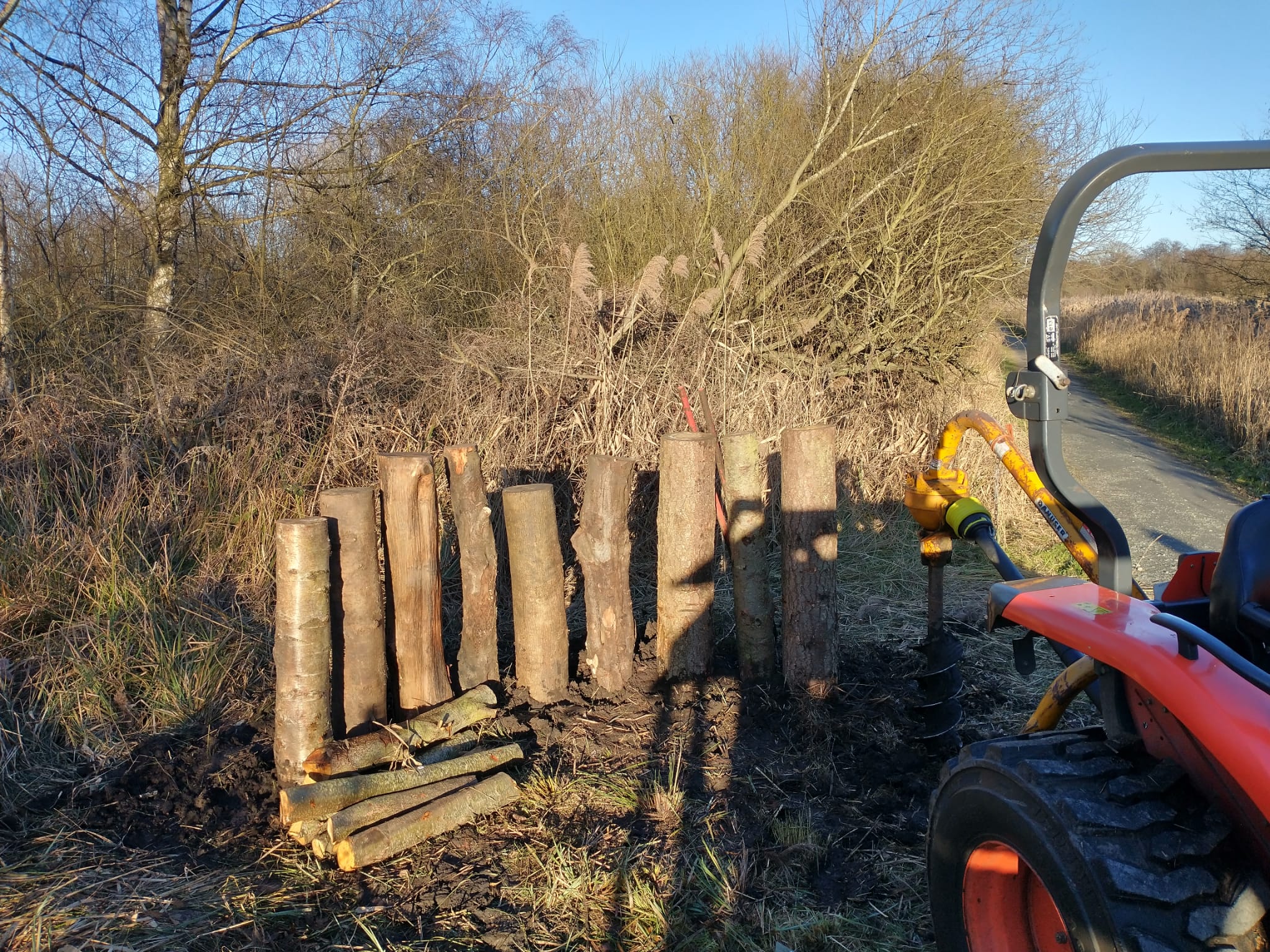 Mini beast logs at Carlton Marshes, Lewis Yates | Suffolk Wildlife Trust