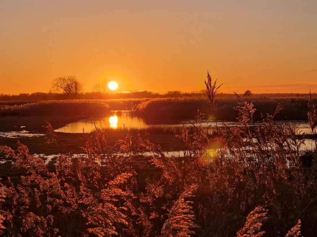 Carlton Marshes sunset, Anneke Emery | Suffolk Wildlife Trust