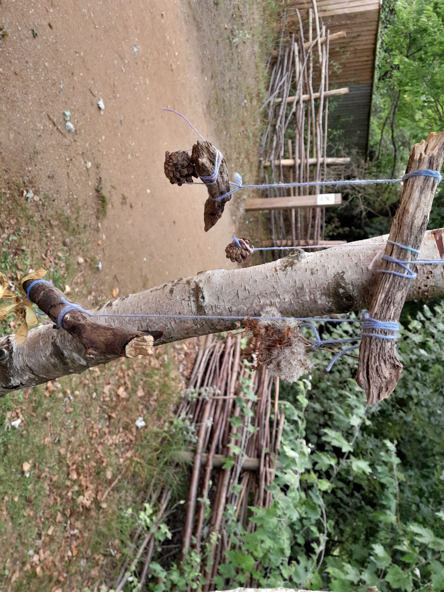 Nature mobile | Suffolk Wildlife Trust