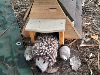 Creating space for nature in Woodbridge Parks | Suffolk Wildlife Trust