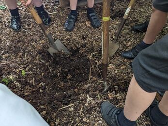Wilder School - Kingsfleet Primary | Suffolk Wildlife Trust