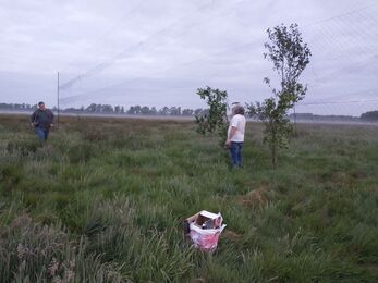 State-of-the-art tags tracking cuckoo migration from Worlingham Marshes ...