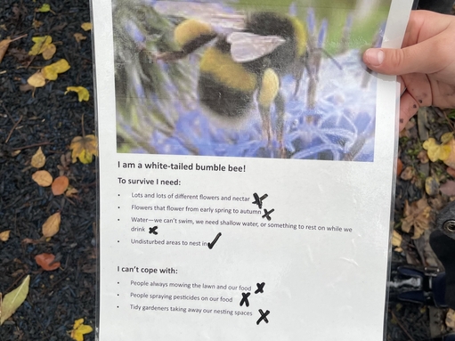 Wilder School Kyson Primary School Suffolk Wildlife Trust
