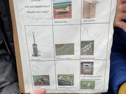 Wilder School Kyson Primary School Suffolk Wildlife Trust