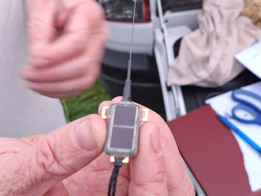 State-of-the-art tags tracking cuckoo migration from Worlingham Marshes ...