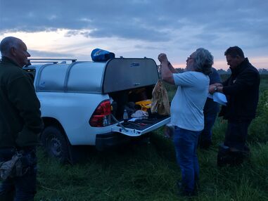 State-of-the-art tags tracking cuckoo migration from Worlingham Marshes ...