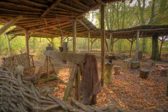 Bradfield Woods National Nature Reserve | Suffolk Wildlife Trust