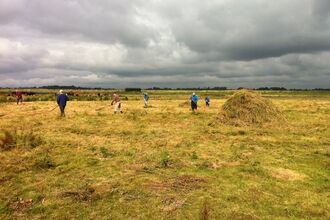 Welcome to Suffolk Wildlife Trust | Suffolk Wildlife Trust