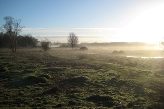 Foxburrow Nature Reserve | Suffolk Wildlife Trust