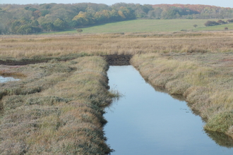 North Sea Marine Conservation | Suffolk Wildlife Trust