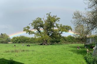 Foxburrow Nature Reserve | Suffolk Wildlife Trust
