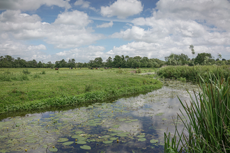 Wildlife Conservation & Recovery | Suffolk Wildlife Trust
