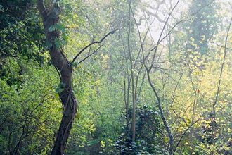 Foxburrow Nature Reserve | Suffolk Wildlife Trust