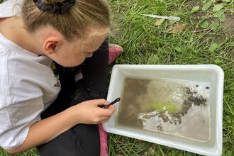 Foxburrow Nature Reserve | Suffolk Wildlife Trust