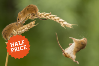 Join us | Suffolk Wildlife Trust