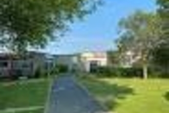 Wilder schools | Suffolk Wildlife Trust