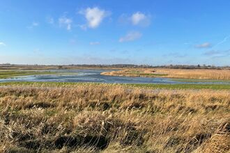 Carlton Marshes Nature Reserve & Visitor Centre | Suffolk Wildlife Trust