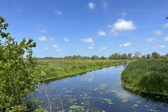 Worlingham Marshes Nature Reserve | Suffolk Wildlife Trust