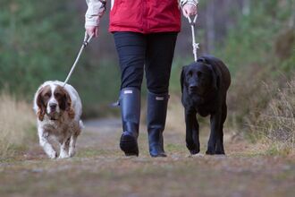 Welcome to Suffolk Wildlife Trust | Suffolk Wildlife Trust