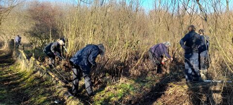 Willow Cutting and Weaving Day at Oulton Marshes | Suffolk Wildlife Trust