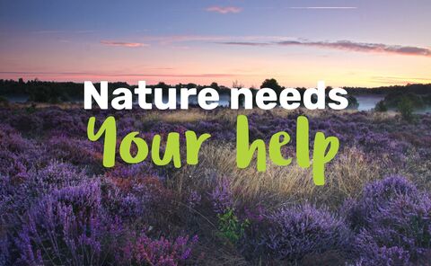Mission 2030 - Bringing Back Nature In Suffolk | Suffolk Wildlife Trust