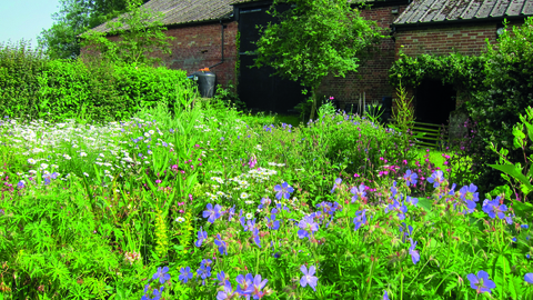Foxburrow Nature Reserve | Suffolk Wildlife Trust
