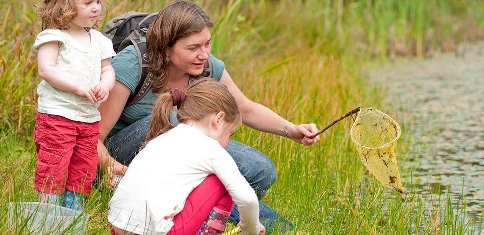 Officer-led school visits to Lound Lakes | Suffolk Wildlife Trust