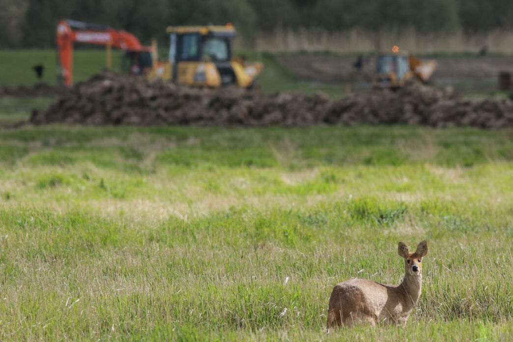 Work begins to create 1,000 acres of wildness at the gateway to the ...