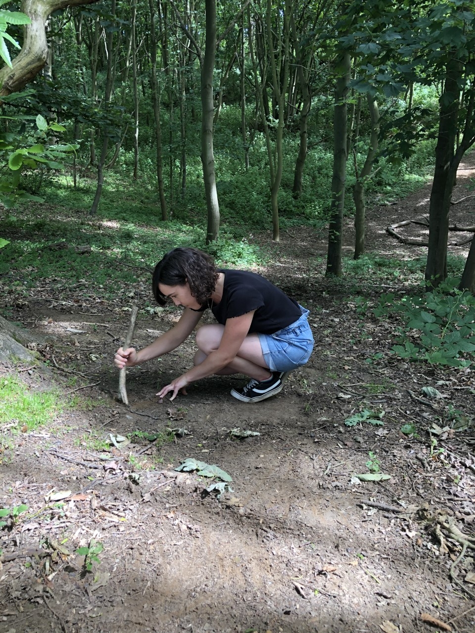 Week three of 30 Days Wild - camping, coprolites and summer solstice ...