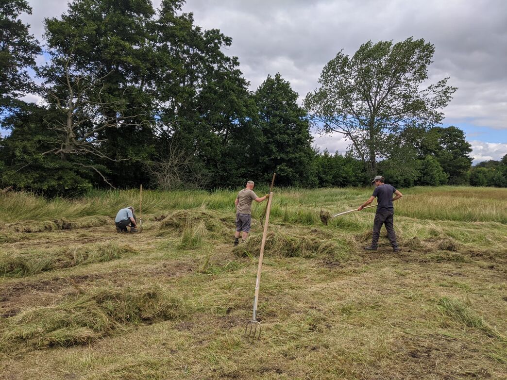 Weekly wild news from our reserves, 31 July 2020 | Suffolk Wildlife Trust