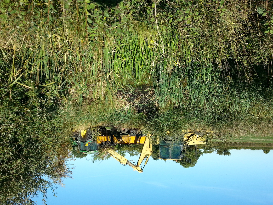 Suffolk Ponds Group | Suffolk Wildlife Trust