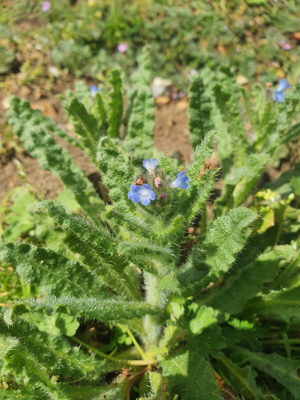 Weekly wild news from our reserves - 14 May 2021 | Suffolk Wildlife Trust