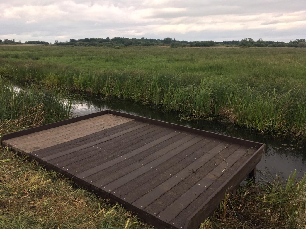 Weekly wild news from our reserves - 10 June 2022 | Suffolk Wildlife Trust