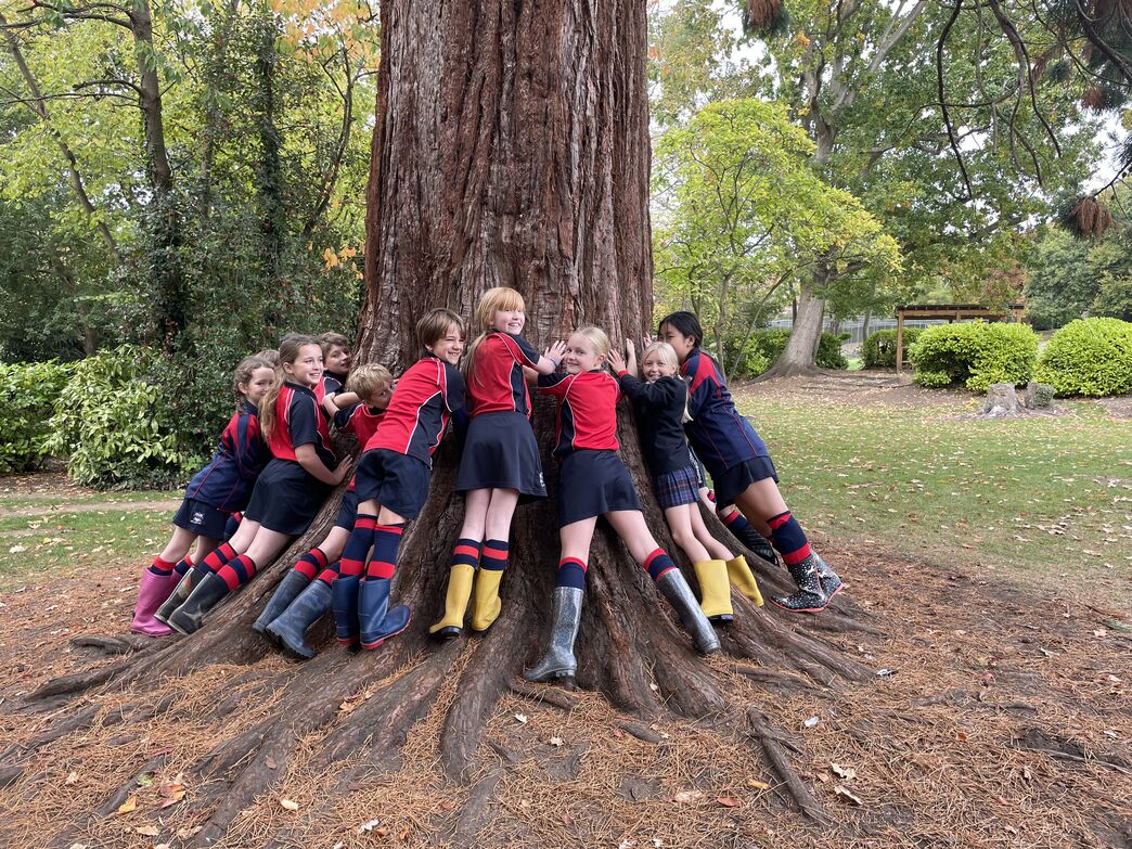 Wilder School - Woodbridge School Prep | Suffolk Wildlife Trust