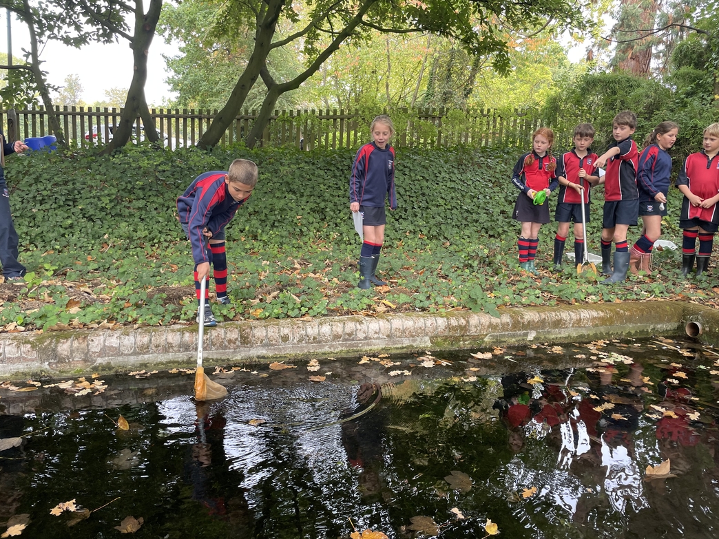 Wilder School - Woodbridge School Prep | Suffolk Wildlife Trust