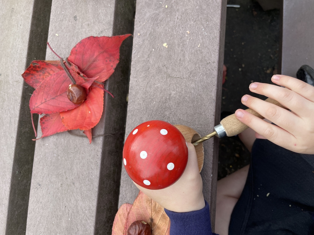 Wilder School - Dennington Primary | Suffolk Wildlife Trust