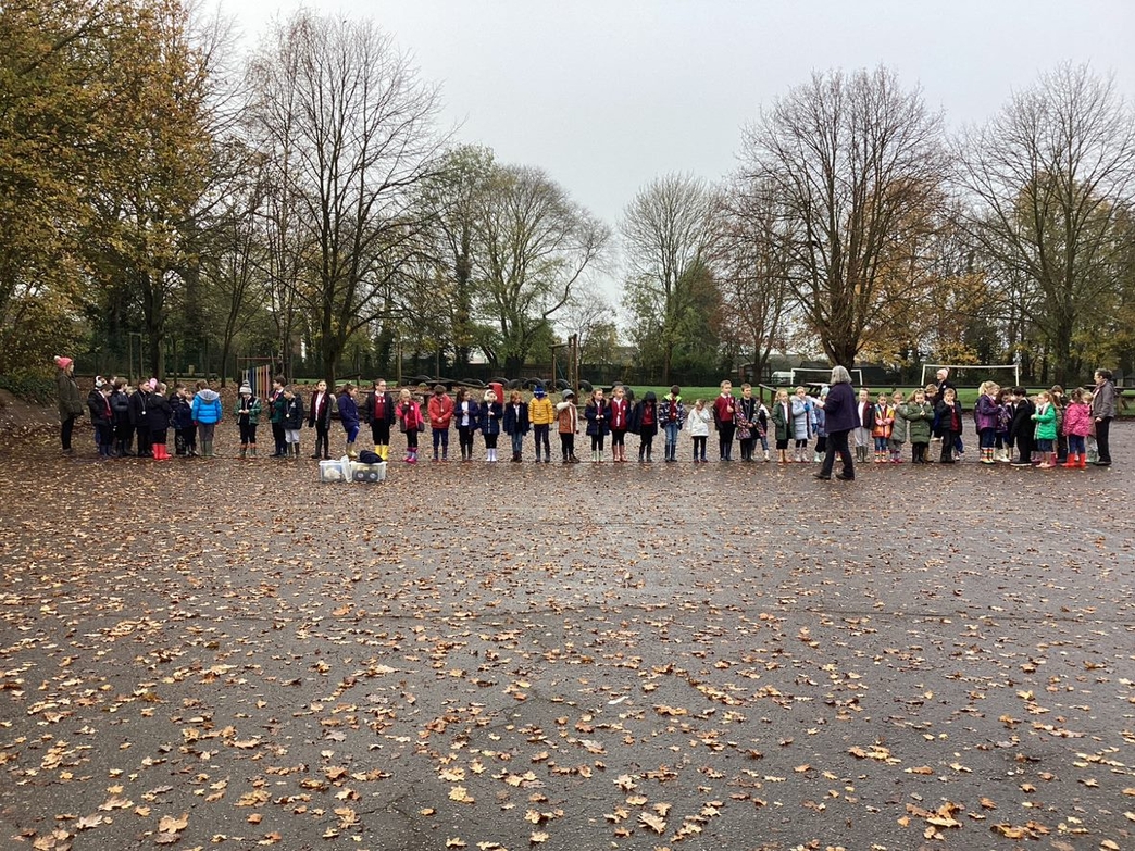 Wilder School - Combs Ford Primary | Suffolk Wildlife Trust