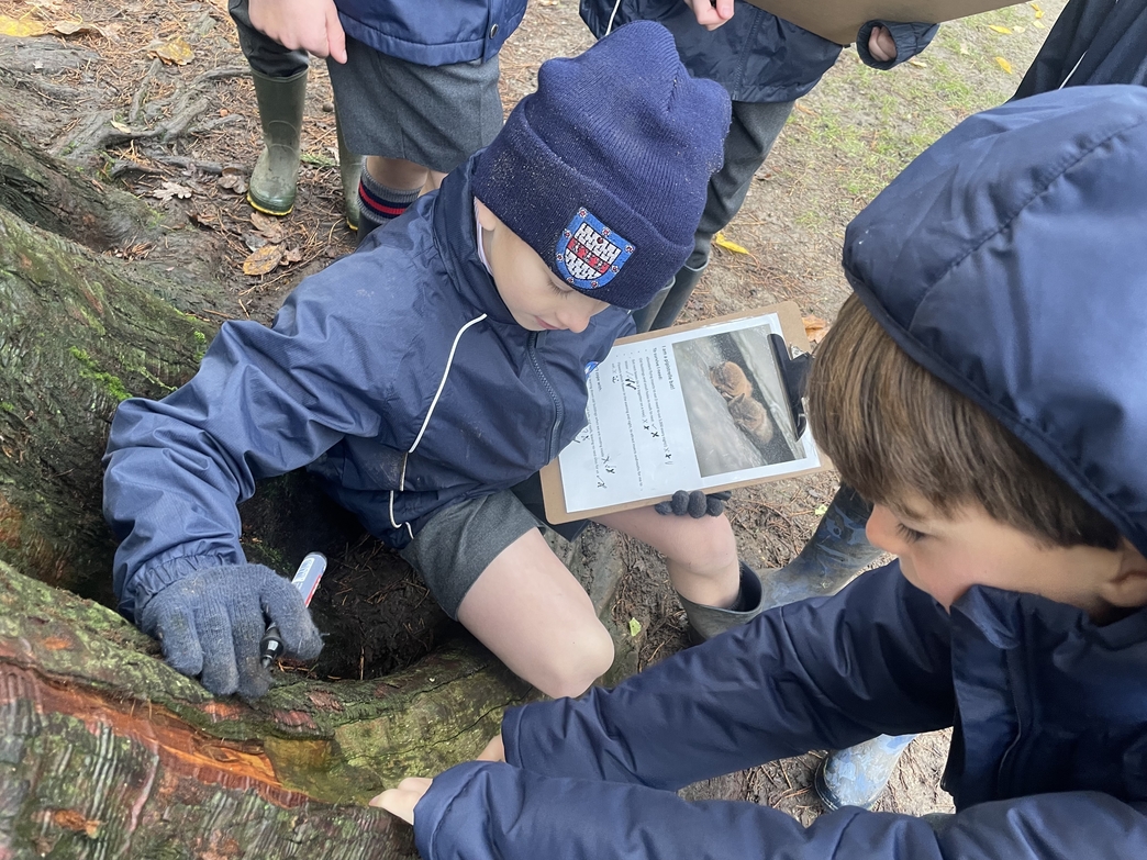 Wilder School - Woodbridge School Prep | Suffolk Wildlife Trust