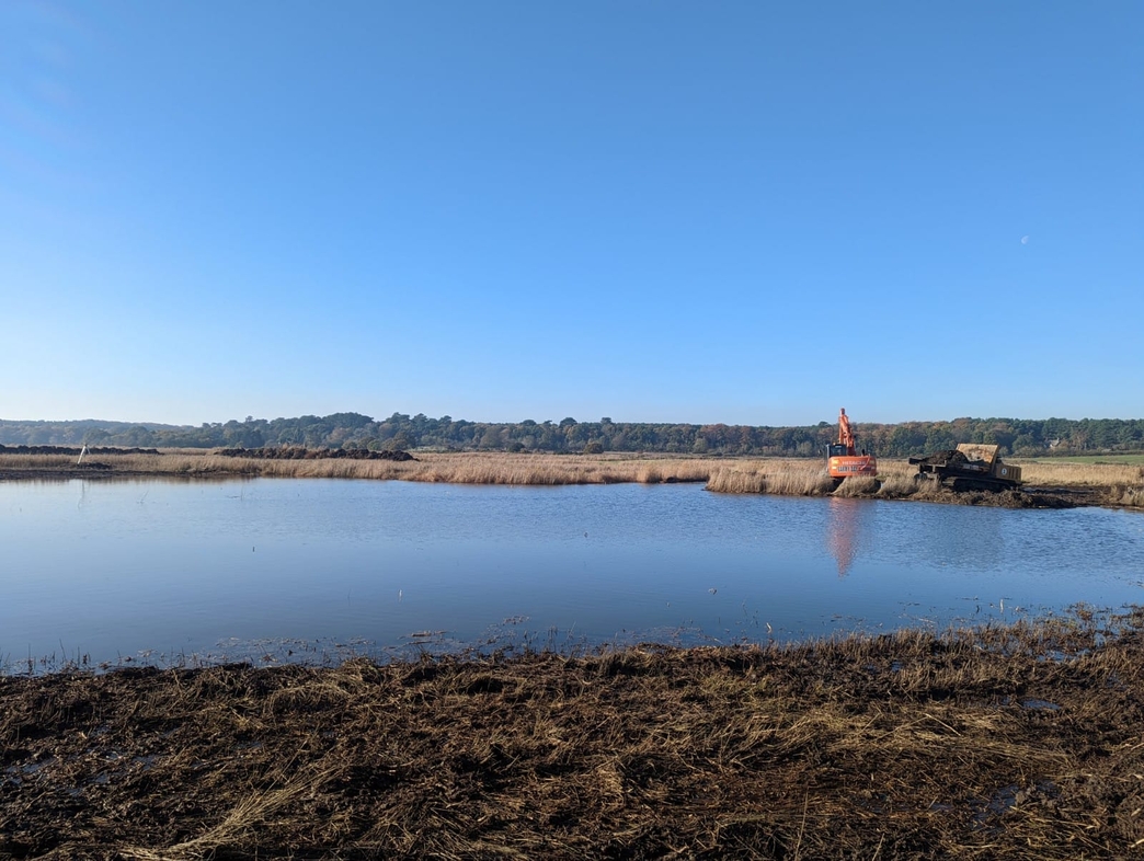 Weekly wild news from our reserves - 16 December 2022 | Suffolk ...