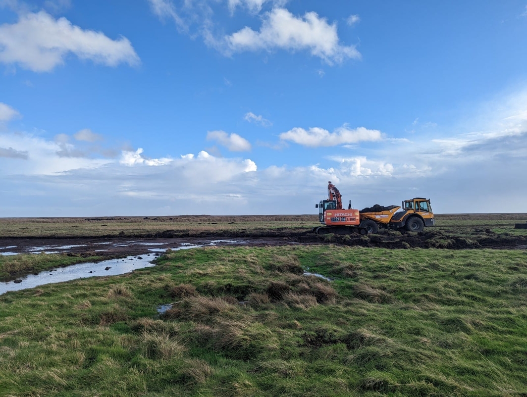 Weekly wild news from our reserves - 16 December 2022 | Suffolk ...