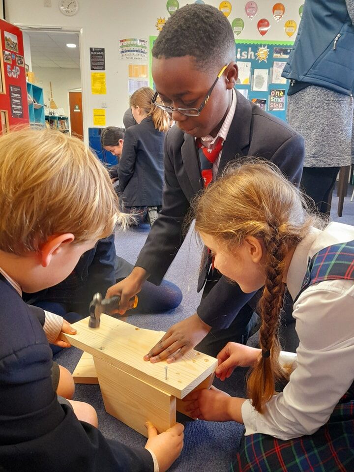 Wilder School - Woodbridge School Prep | Suffolk Wildlife Trust