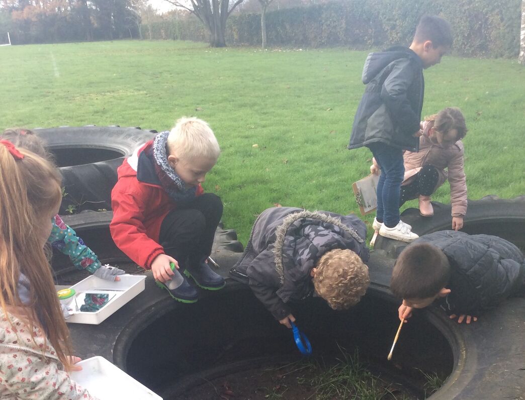 Wilder School - Beccles Primary Academy | Suffolk Wildlife Trust